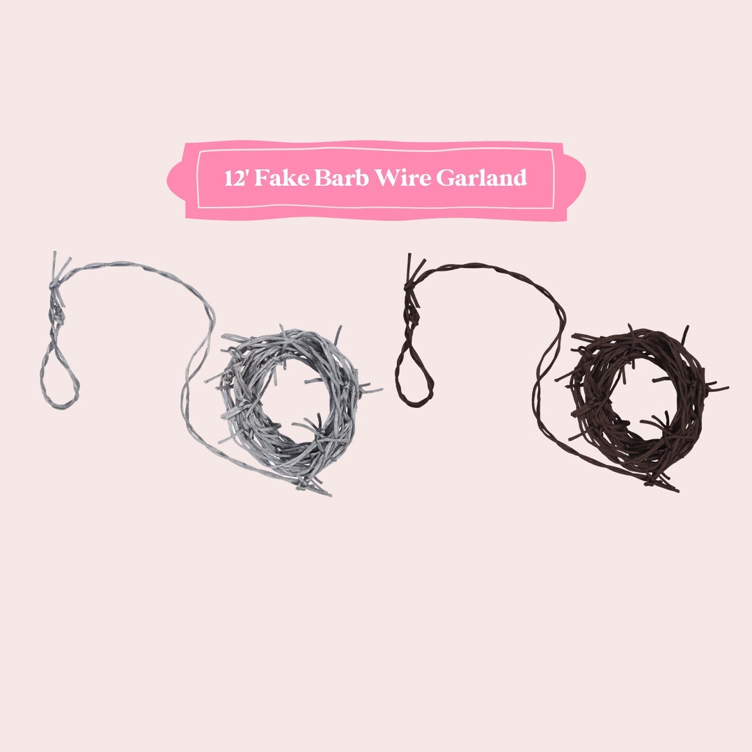 My First Rodeo Party Decor Fake Barb Wire Western Party - Etsy