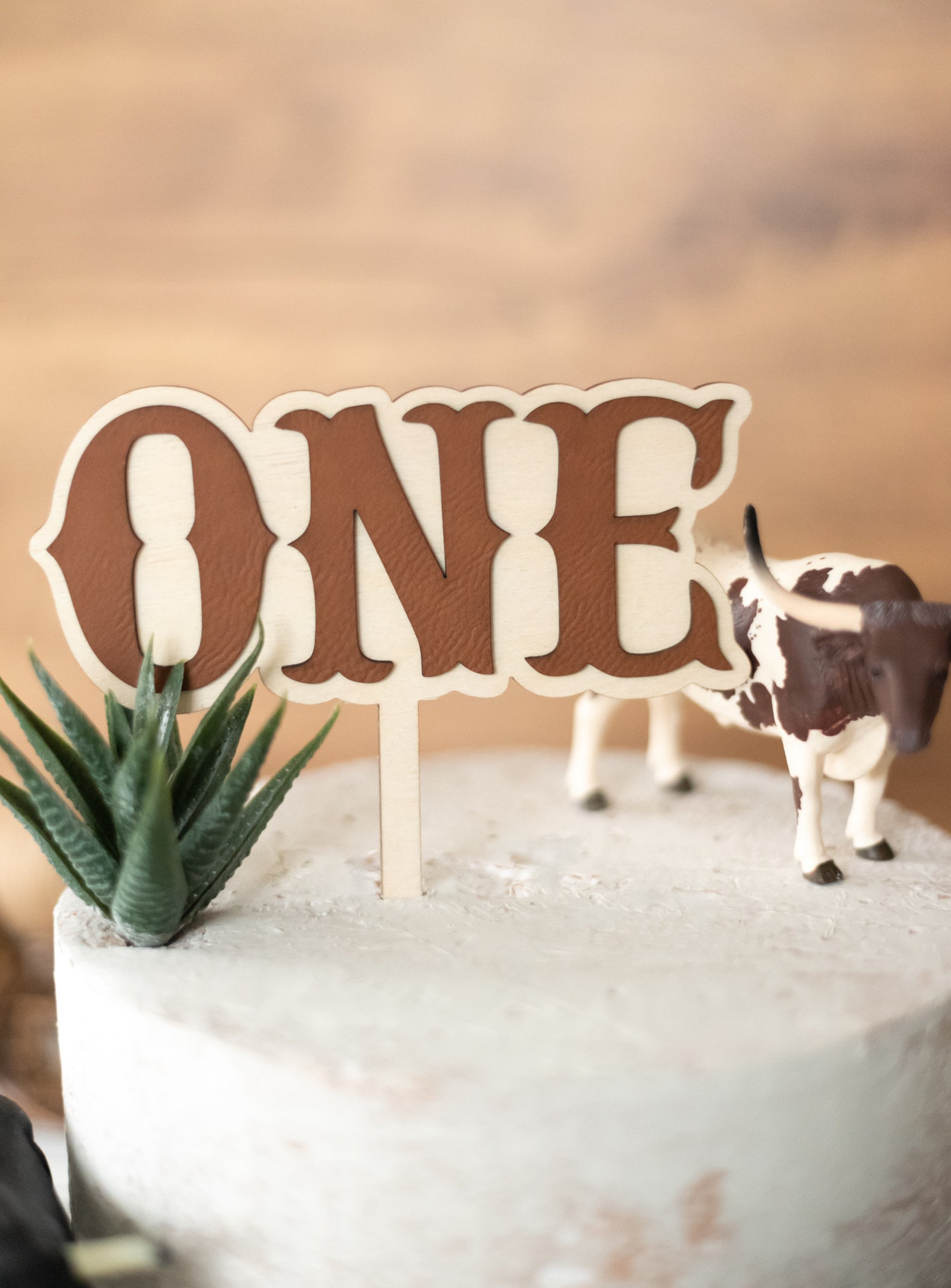My First Rodeo, First Rodeo Cake Topper, Western First Birthday, Cowboy ...