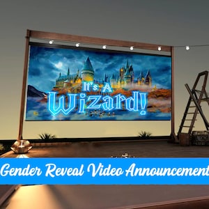 Gender Reveal Video Announcement, Gender Reveal Party, Boy or Girl ...