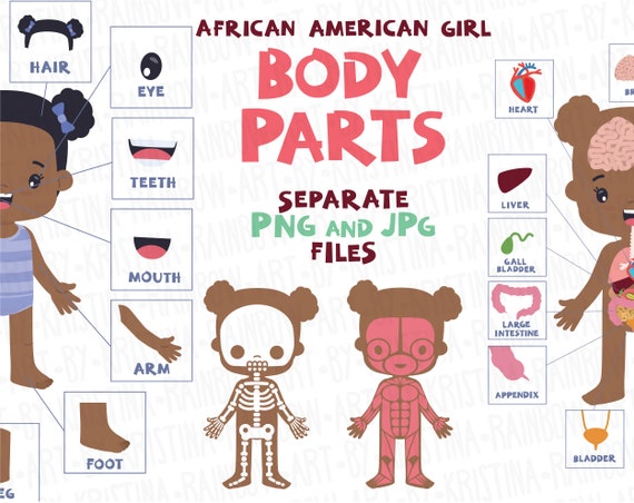 African American Girl Anatomy Clip Artvisual Scheme - Etsy