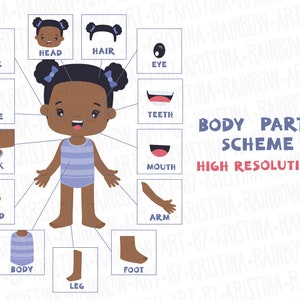 African American Girl Anatomy Clip Art,visual Scheme Illustration ...
