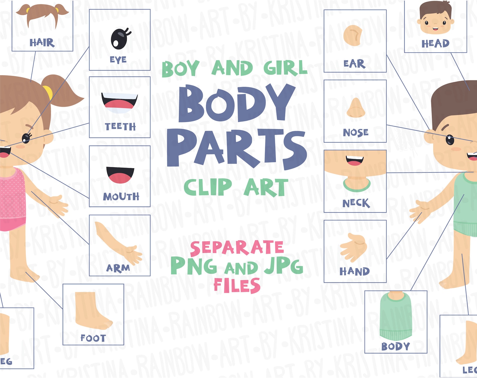 Anatomy Clip Art: Kawaii Kids Body Parts Illustration (PNG, JPG) - Etsy