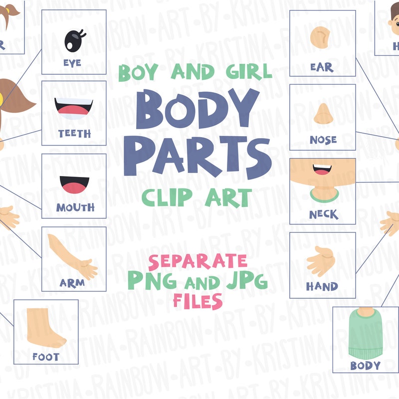 Parts of the Body Clipart - Etsy Canada