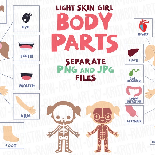 Cartoon Body Organs - Etsy