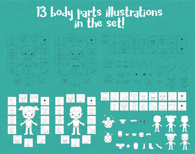 Boy and Girl Body Parts Clip Art,visual Scheme Illustration,human ...