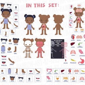 African American Girl Anatomy Clip Art,visual Scheme Illustration ...