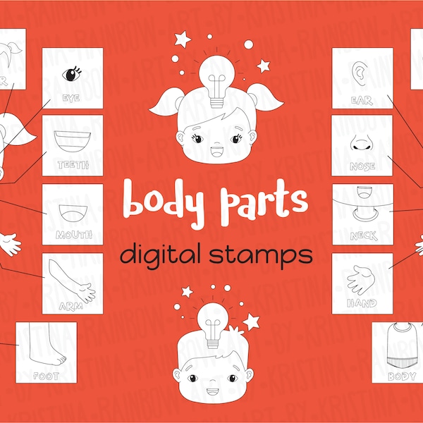 Learning Body Parts Png - Etsy