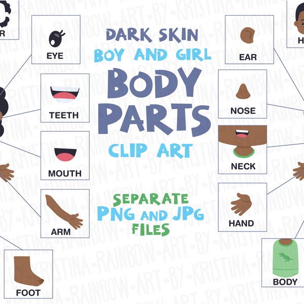 Parts of the Body - Etsy