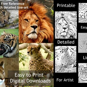Royalty Free Reference Photos, Printable Line Art, Wildlife Reference ...