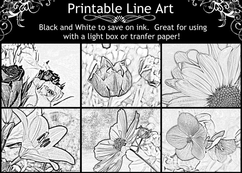 Printable Line Art for Artist, Royalty Free, Copyright Free, Flower ...