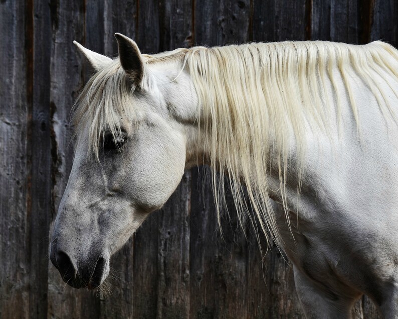 Printable Line Art for Artist Royalty Free Copyright Free - Etsy