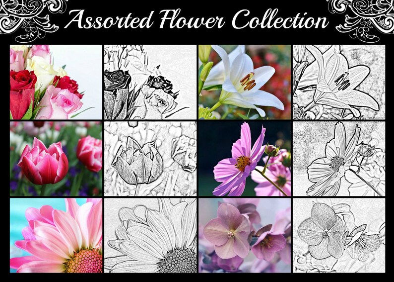 Printable Line Art for Artist, Royalty Free, Copyright Free, Flower ...