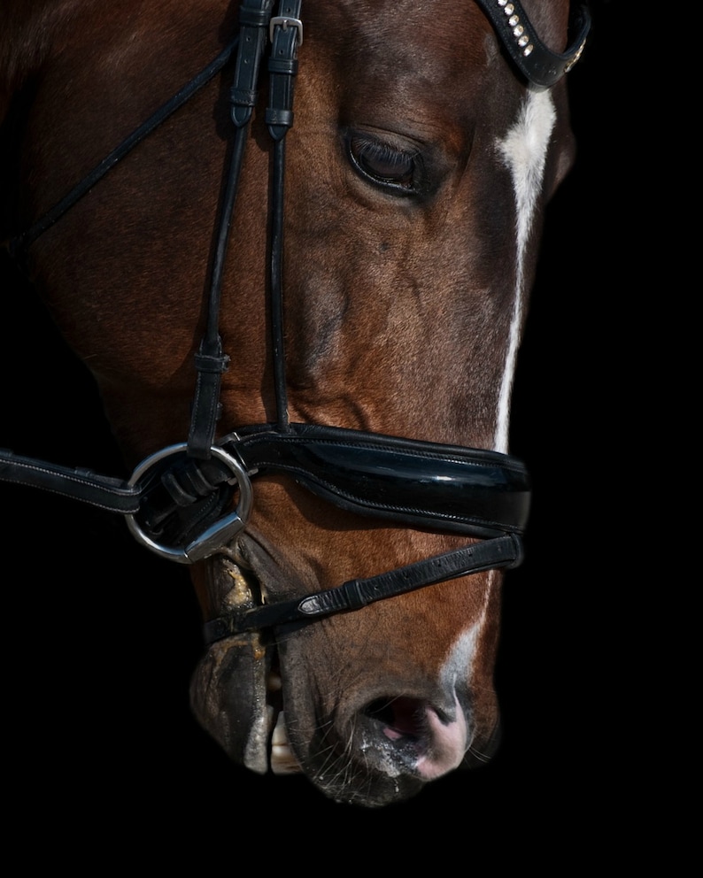 Printable Line Art for Artist Royalty Free Copyright Free - Etsy