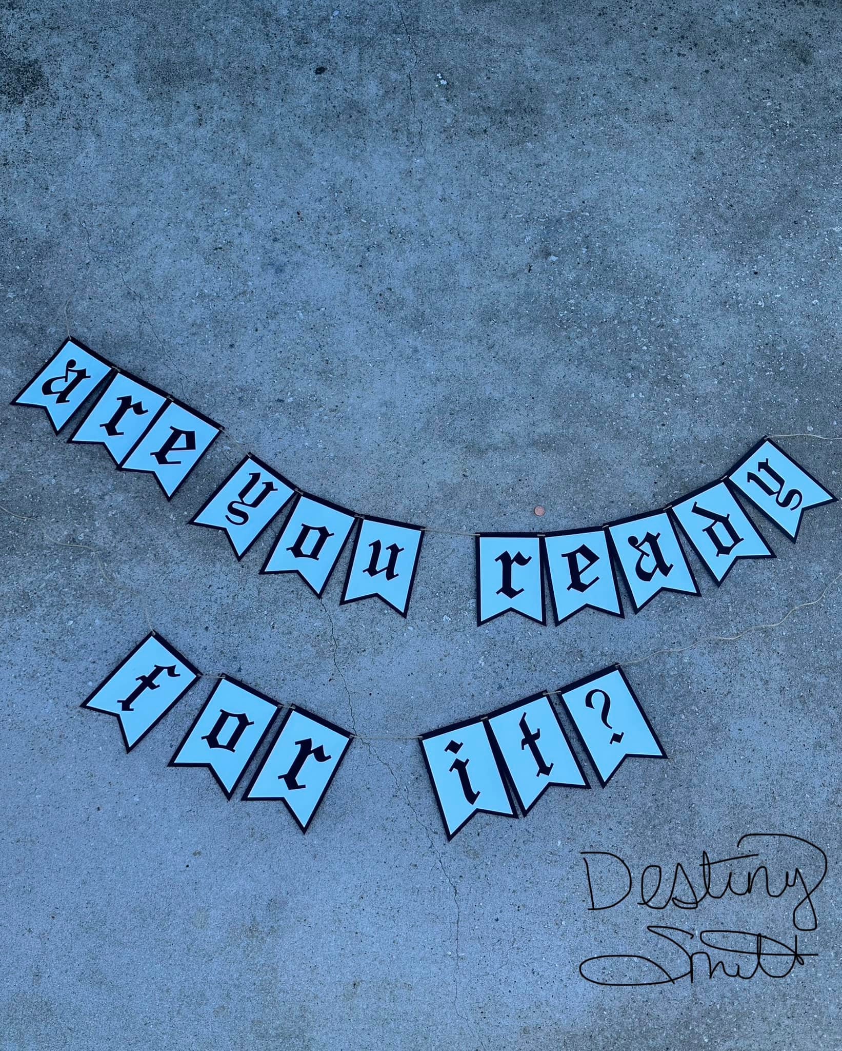 Swiftie Inspired Party Banner Birthday Graduation Baby Shower - Etsy