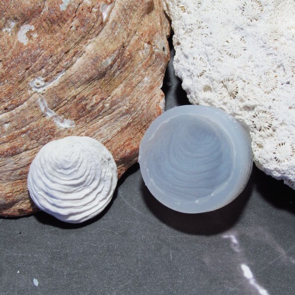 Oyster Shell Mold - Etsy