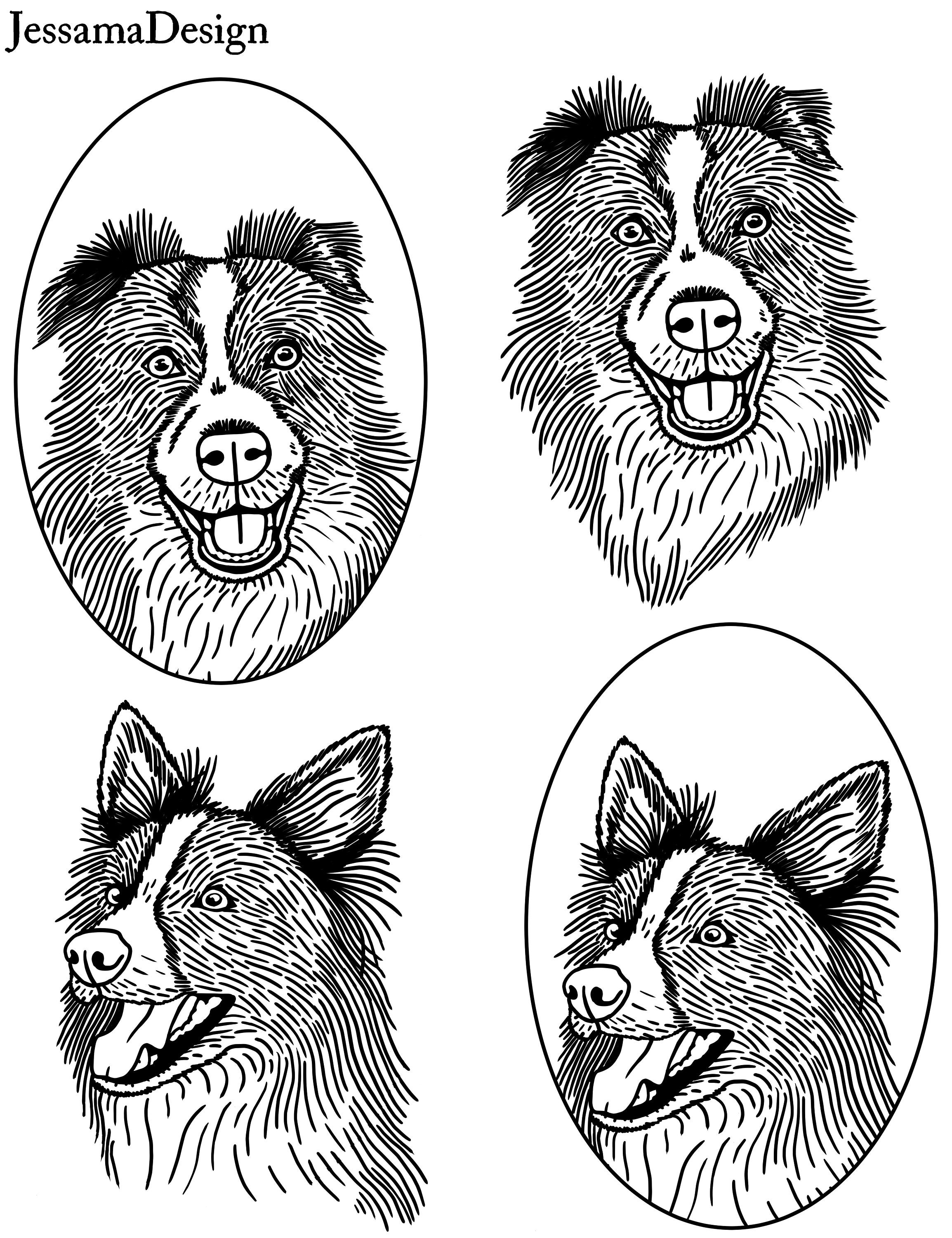 8. Polymer Clay Pet Portrait Silkscreen border Collie - Etsy