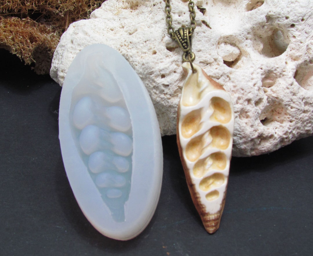 1. Sliced Shell Silicone Mold - Etsy