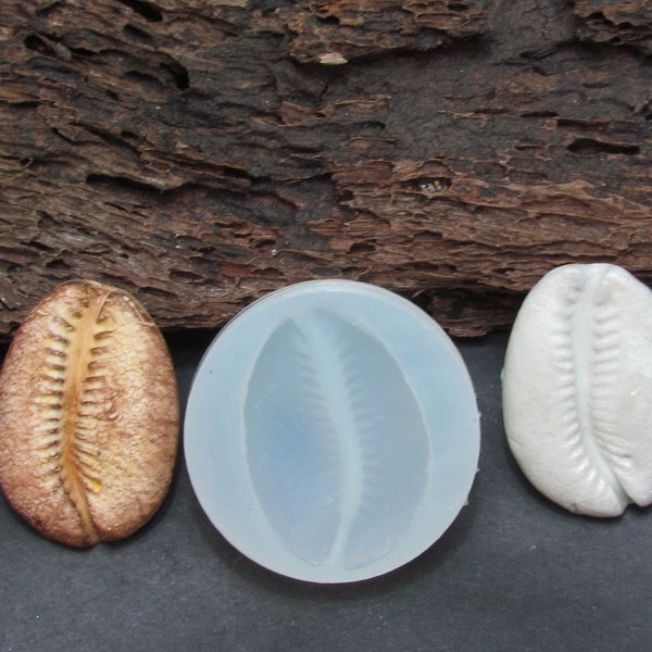 Cowrie Shell - Etsy Australia