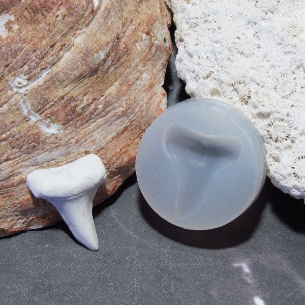 Silicone Shark Tooth Mold - Etsy