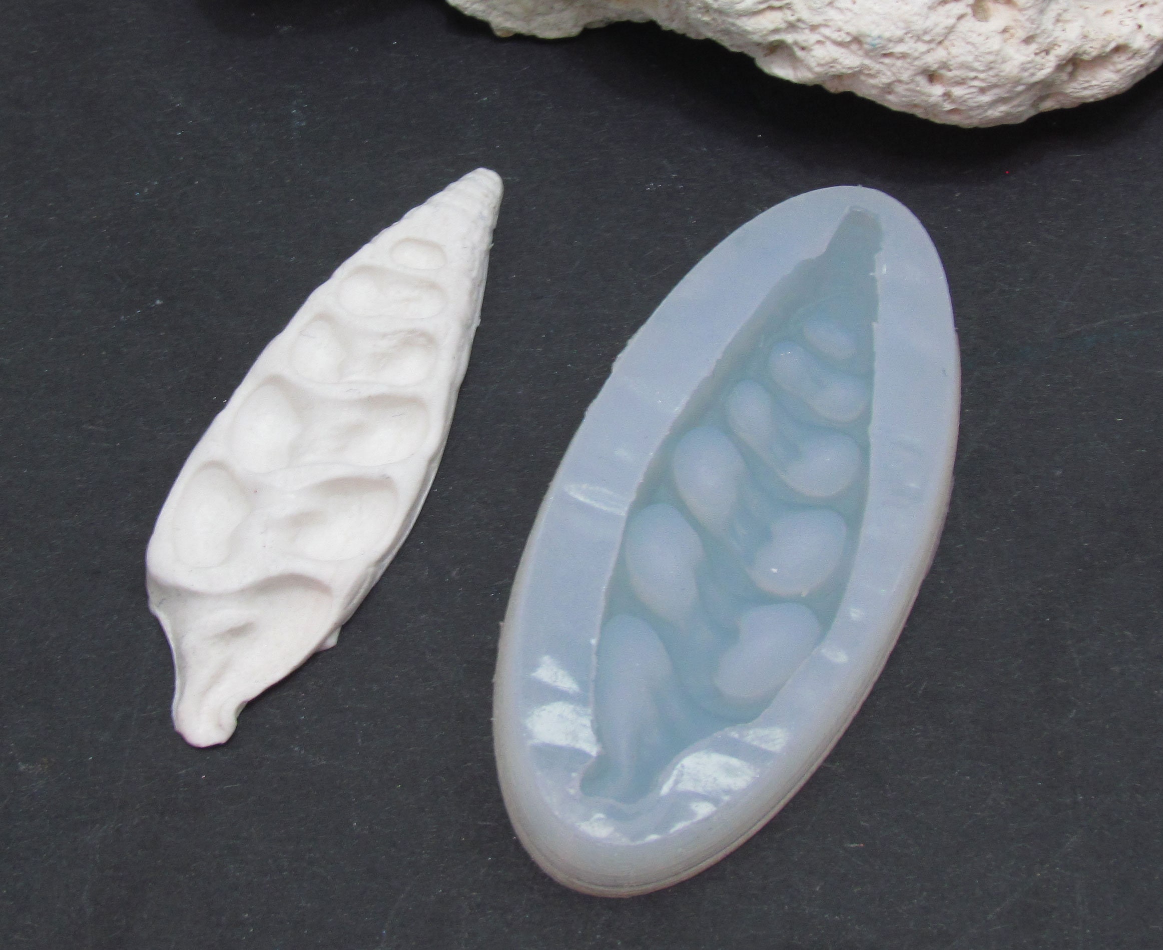 1. Sliced Shell Silicone Mold | Etsy