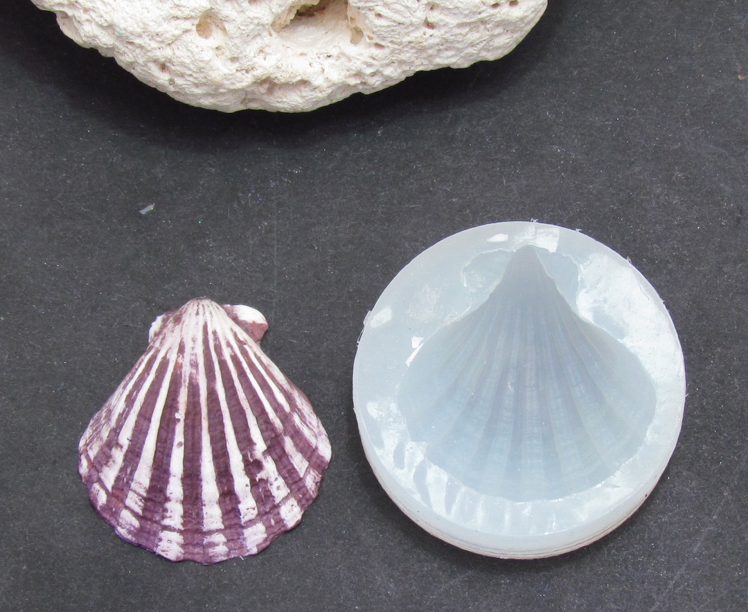 1. Small Clam Shell Mold - Etsy