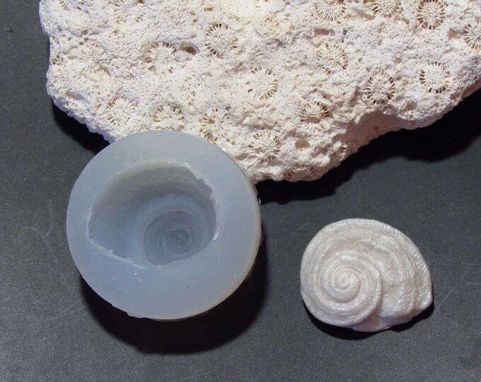 2. Turban Shell Mold - Etsy