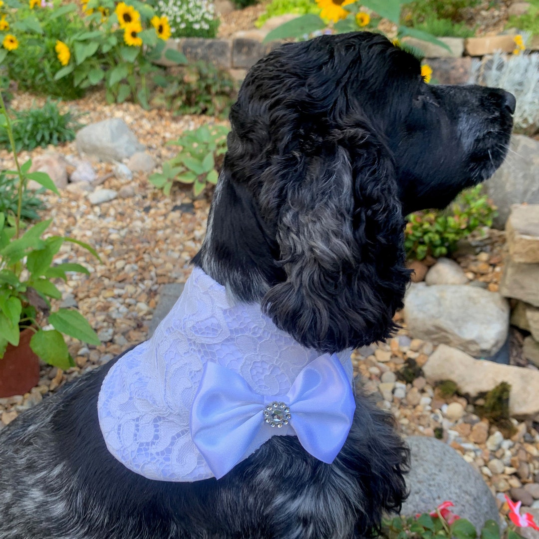Luxury Dog/pet Wedding Bandana / Dog Wedding Attire / Satin & Lace ...