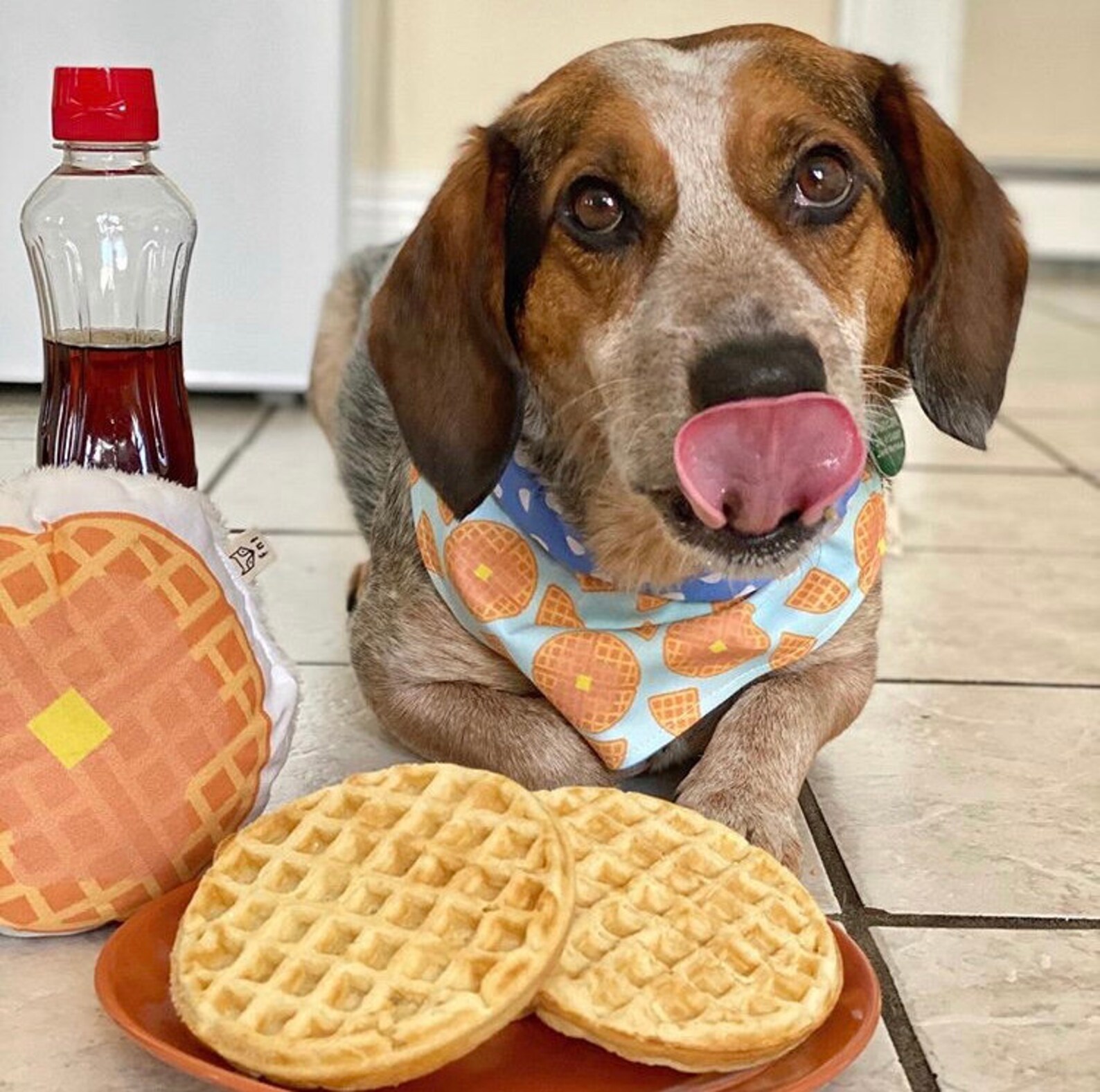 Waffles Bandana and Toy Set for Dogs or Cats - Etsy