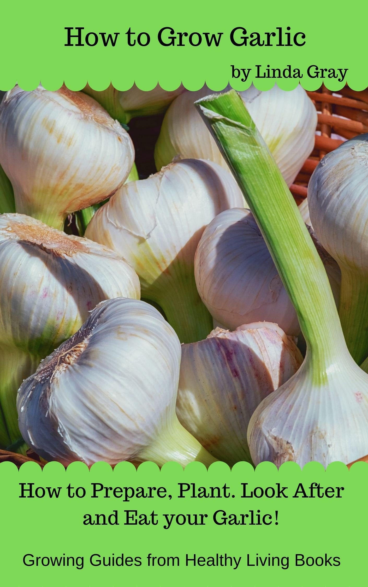 How to Grow Garlic, Growing Garlic at Home, Instant Book Download ...