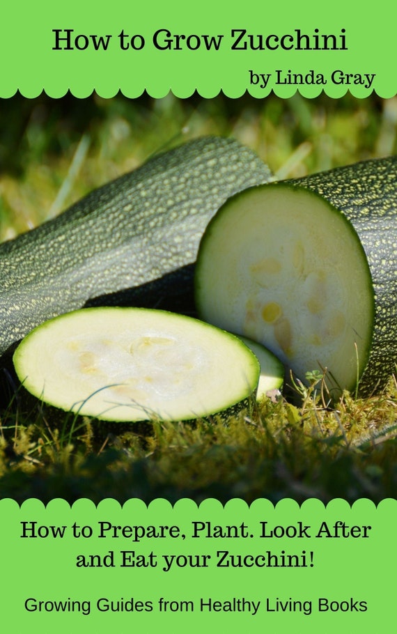 Zucchini Growing Guide