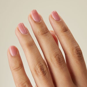 Sheer Rose Pink Jelly Nail Polish Cirque Colors Rosewater - Etsy