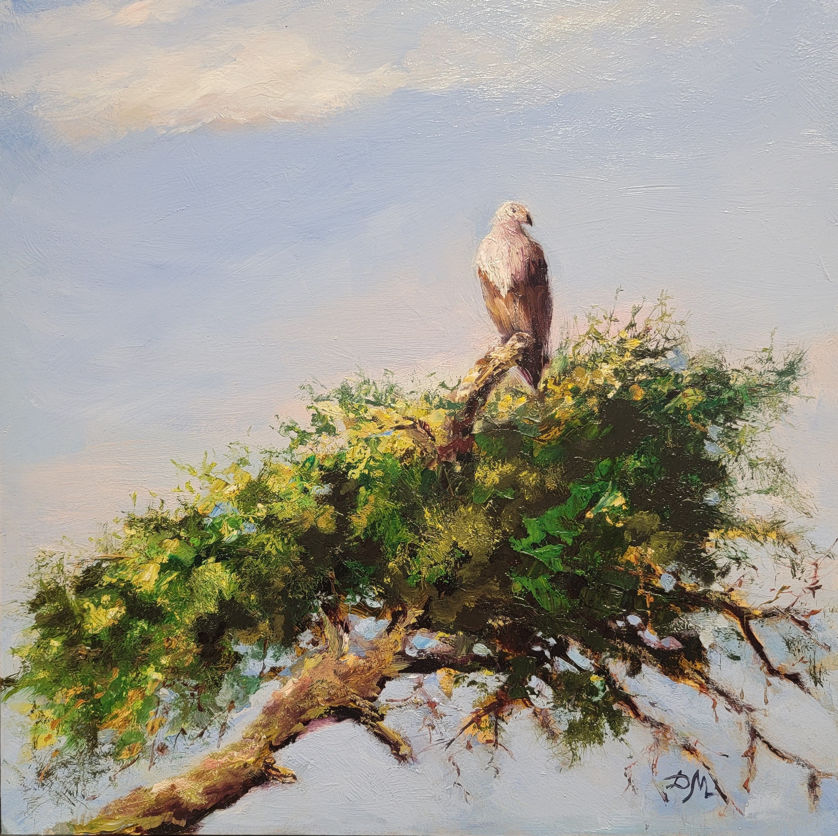 Hawk Oil Painting