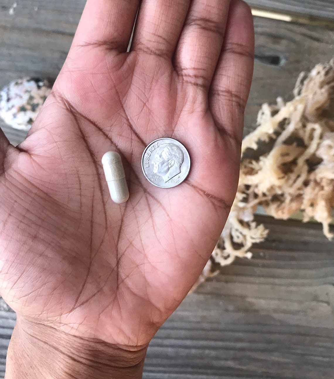 Sea Moss Vegan Capsules - Etsy