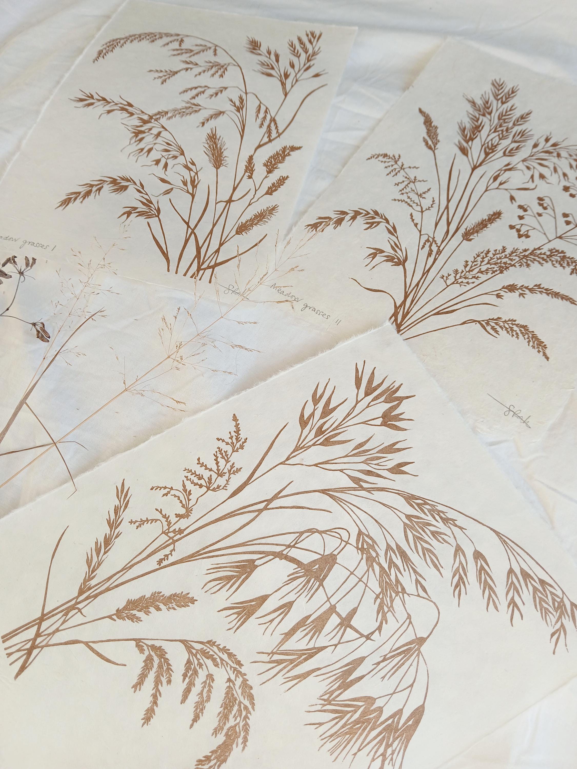 A4 'meadow Grasses' Linoprint. Hand-pulled Botanical Prints in Gold on ...