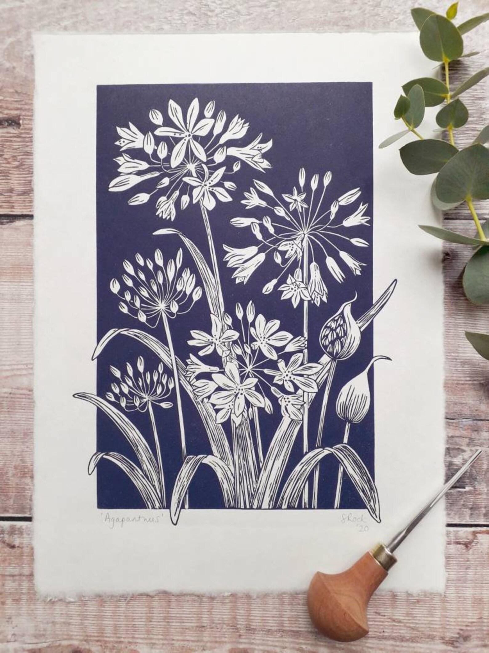 Agapanthus Flowers Linoprint. Hand-pulled Botanical Print on - Etsy