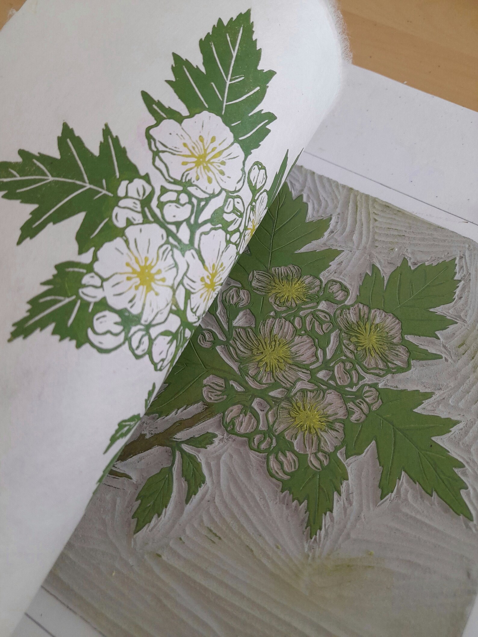 Hawthorn Mayflower Blossom Lino Print: Hand-pulled Botanical Art on ...