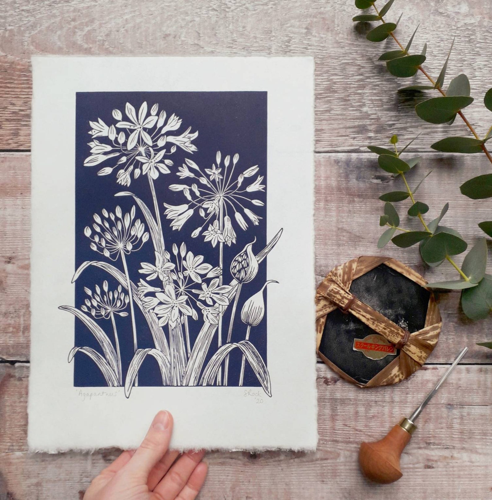 Agapanthus Flowers Linoprint. Hand-pulled Botanical Print on - Etsy