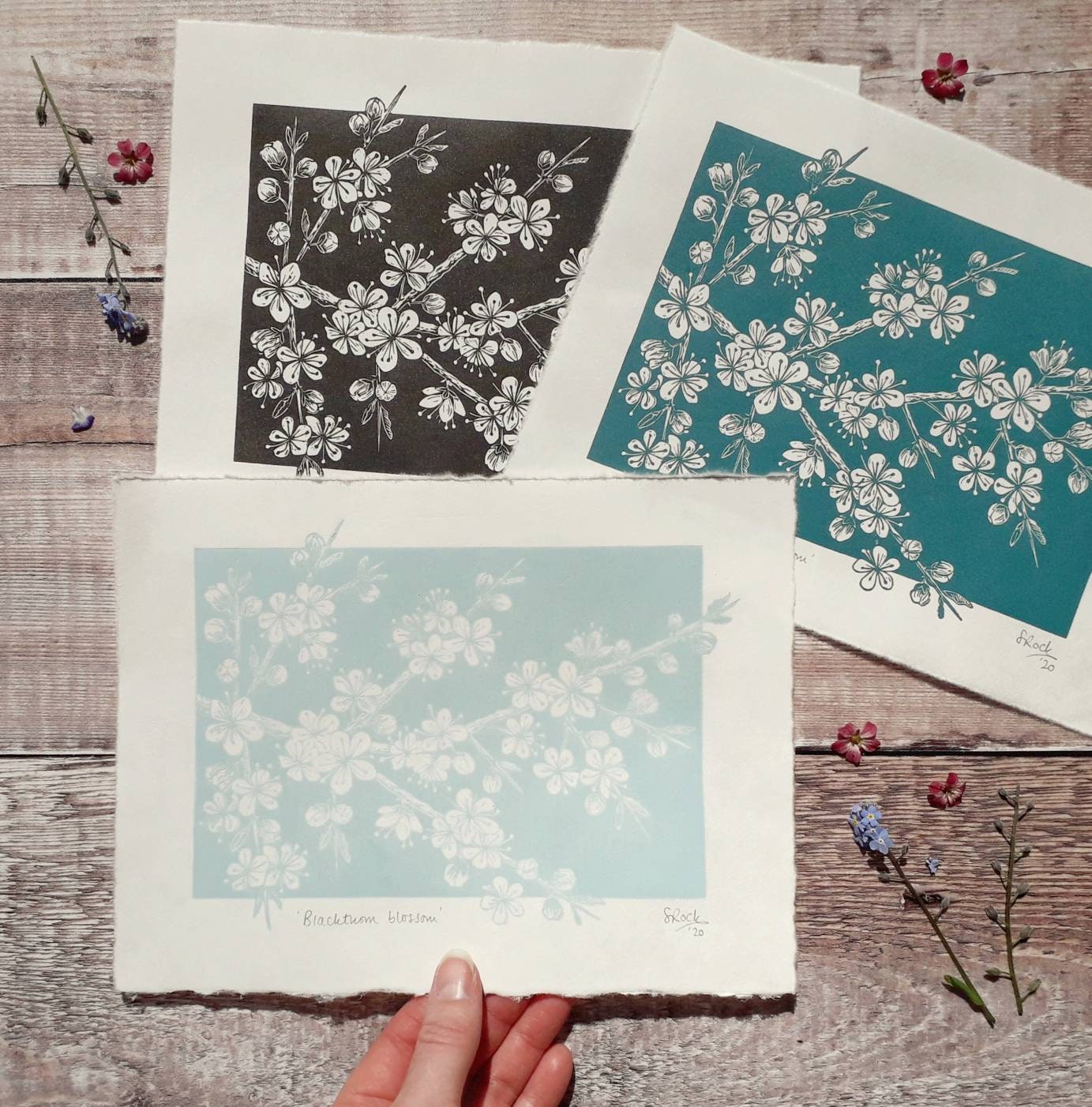 Blackthorn Blossom Linoprint, Hand-pulled Botanical Art on Hosho Paper ...