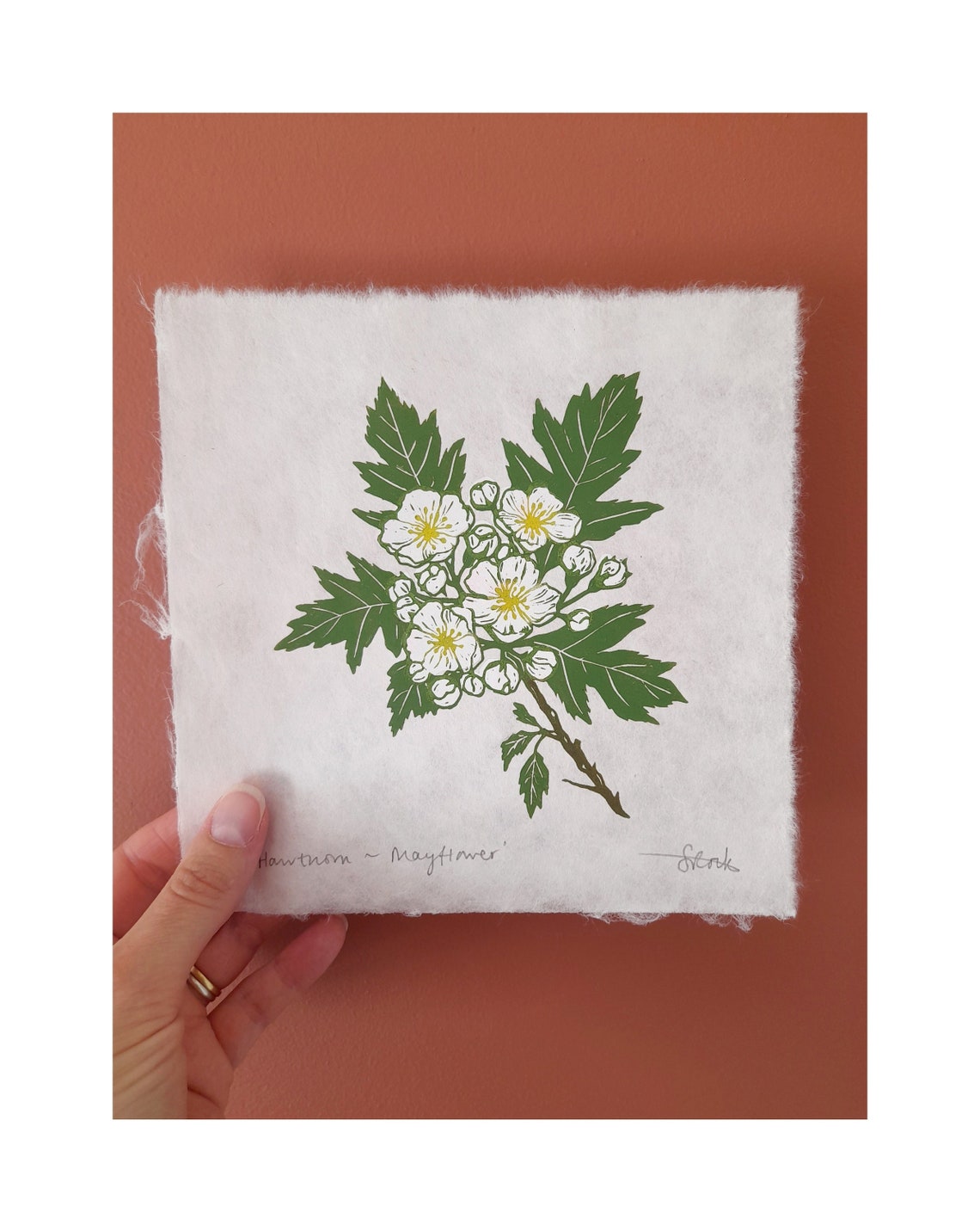 Hawthorn Mayflower Blossom Lino Print: Hand-pulled Botanical Art on ...