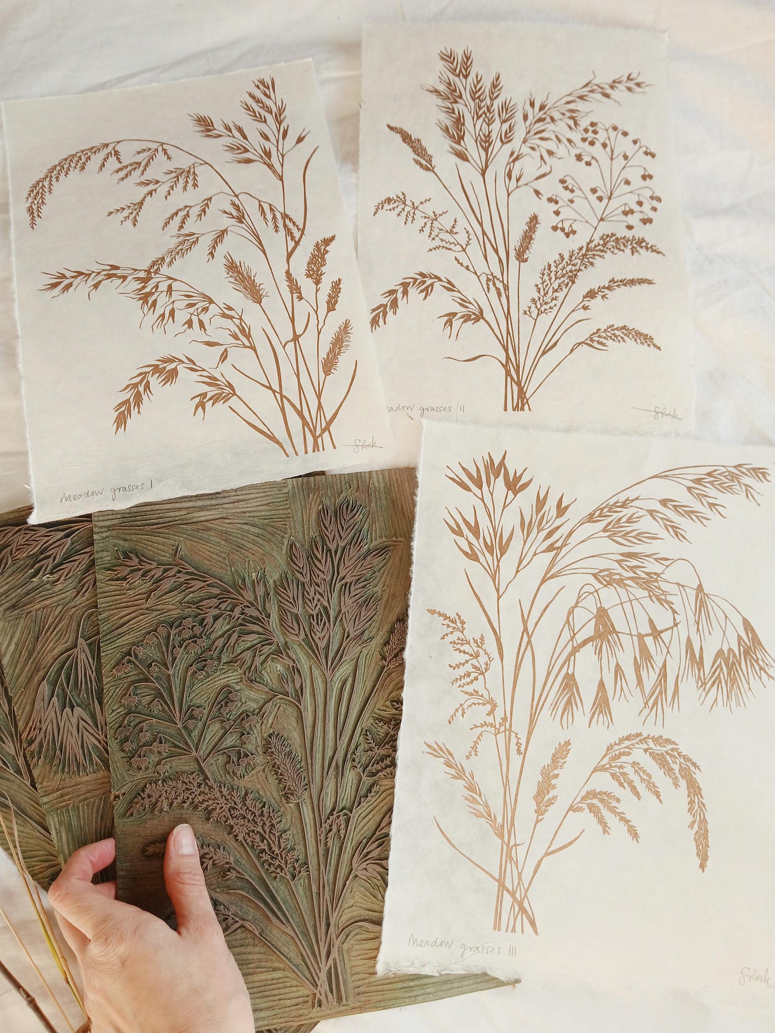 A4 'meadow Grasses' Linoprint. Hand-pulled Botanical Prints in Gold on ...