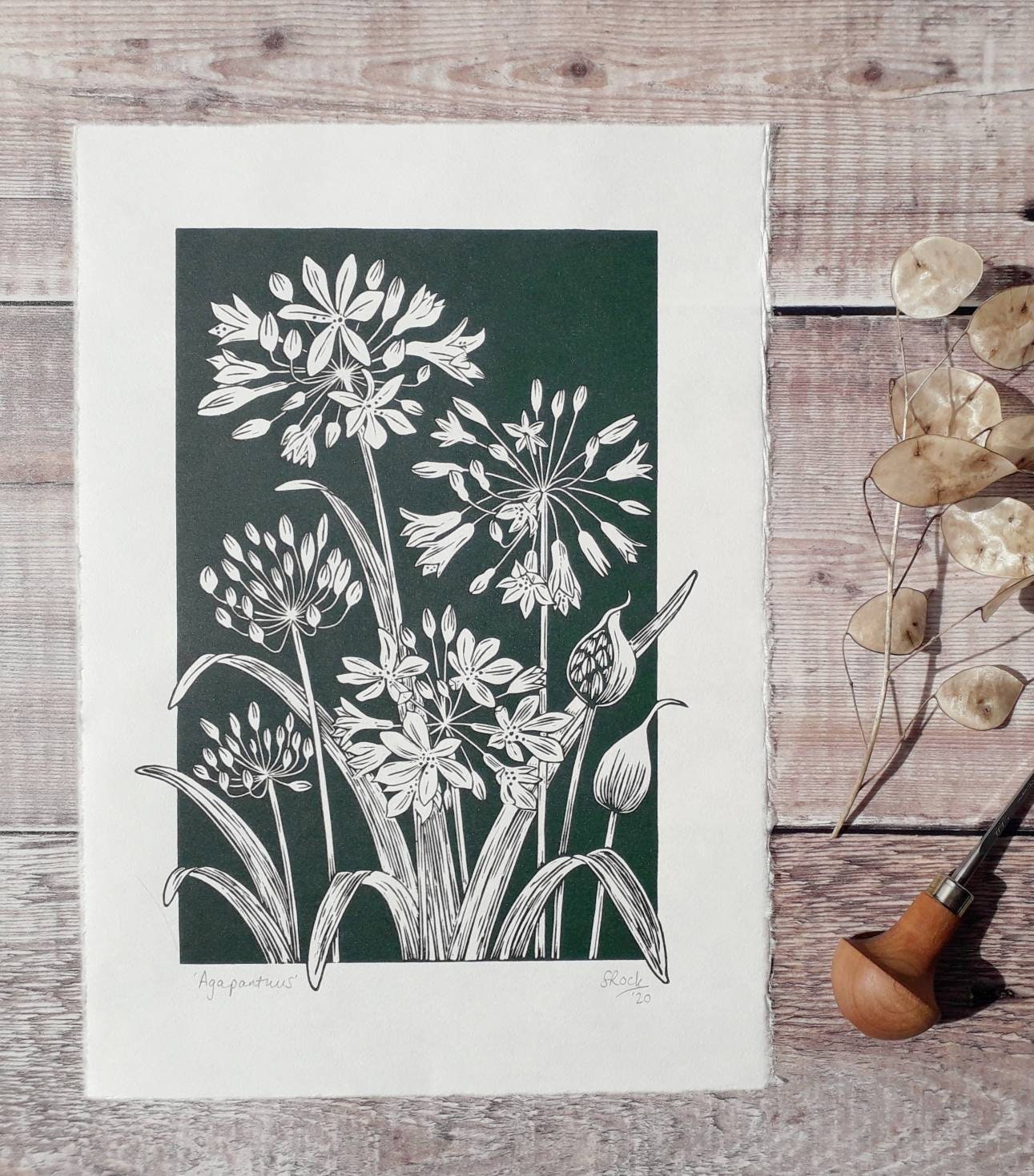 Agapanthus Flowers Linoprint. Hand-pulled Botanical Print on - Etsy UK