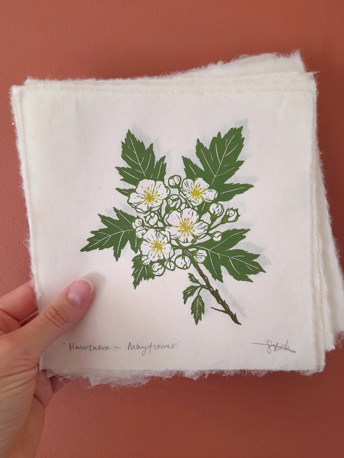 Hawthorn Mayflower Blossom Lino Print: Hand-pulled Botanical Art on ...