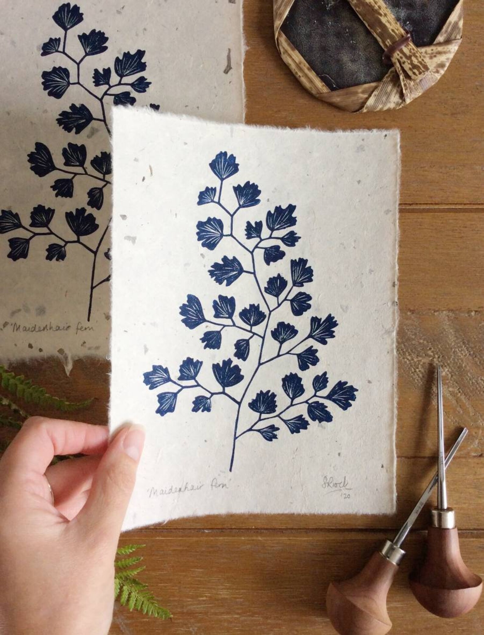 Fern Linoprints. Hand-pulled Original Botanical Print in Blue. 30gsm ...