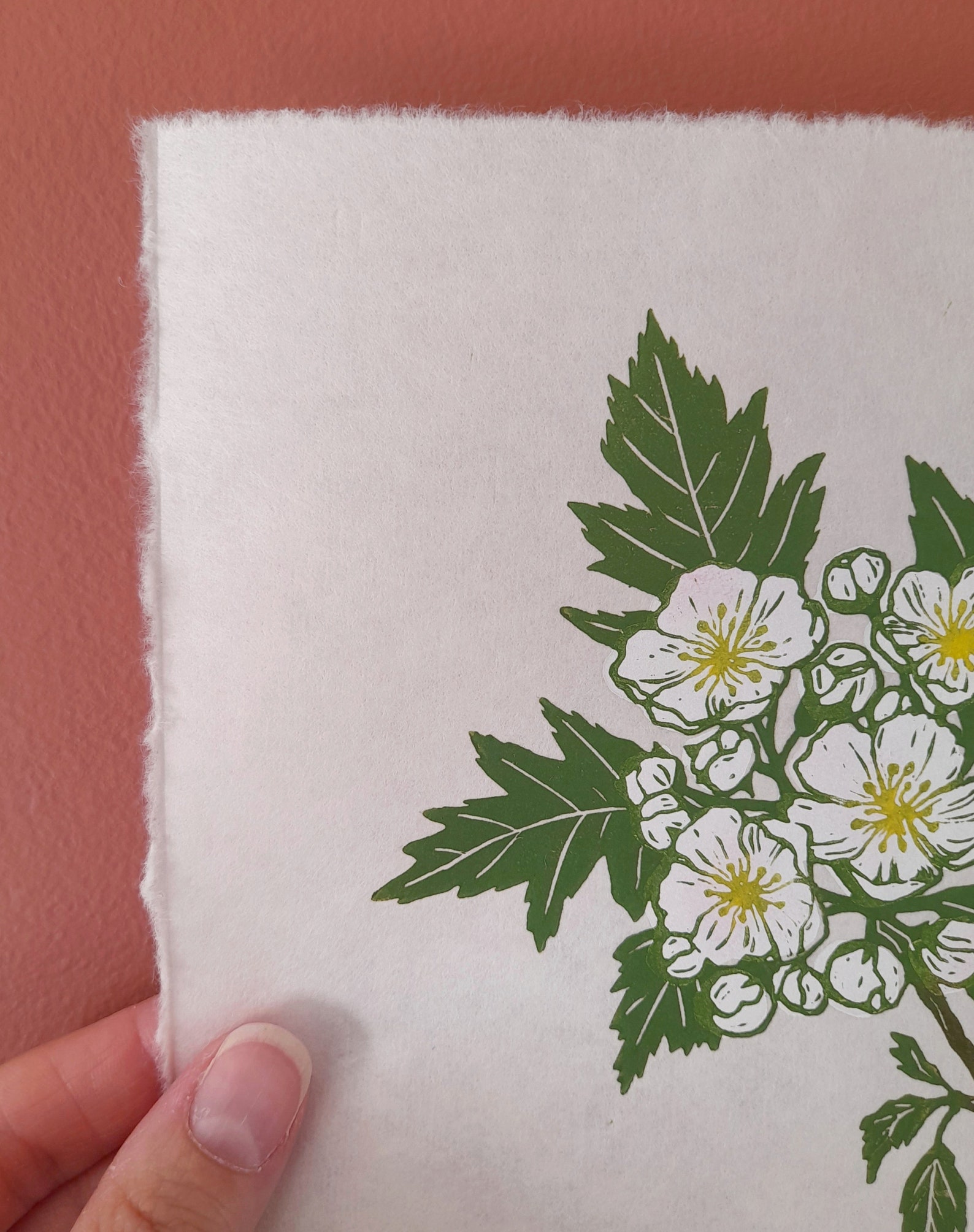 Hawthorn Mayflower Blossom Lino Print: Hand-pulled Botanical Art on ...