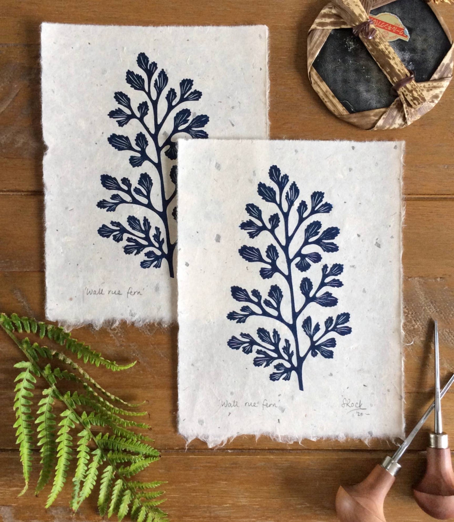 Fern Linoprints. Hand-pulled Original Botanical Print in Blue. 30gsm ...