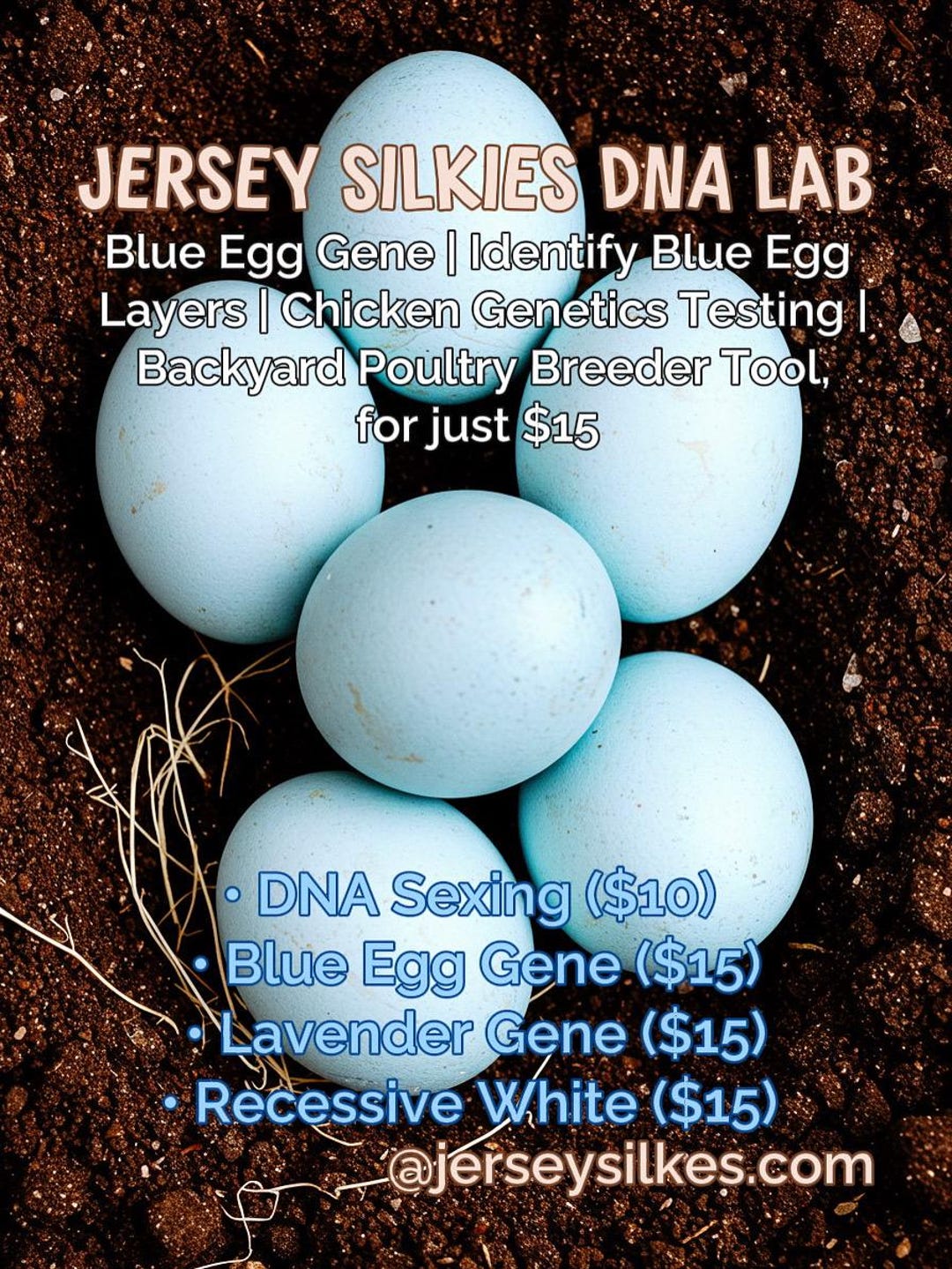 Blue Egg Gene DNA Set of 2 Test Chicken Egg Color Genetics Fast ...