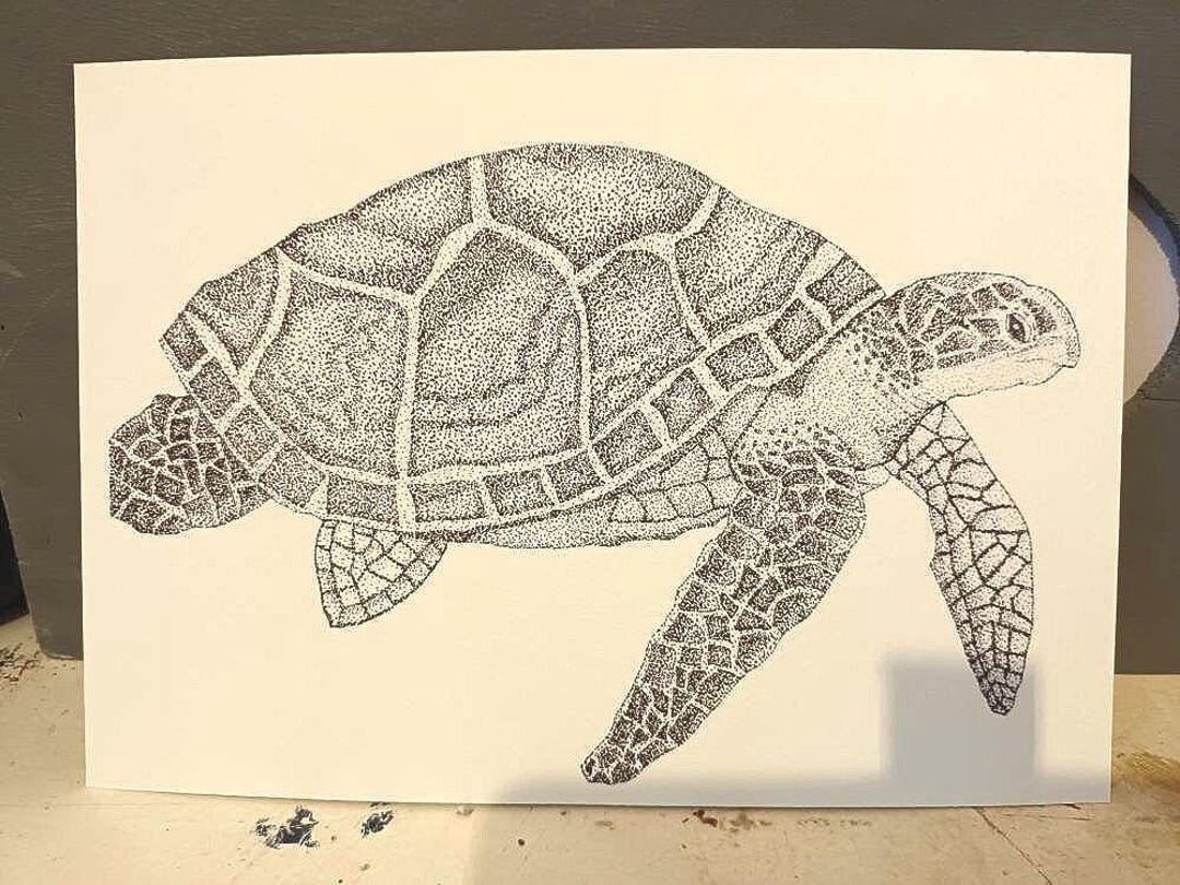 Turtle Stipple Drawing - Etsy