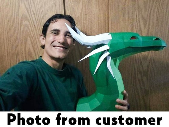 Homemade Dragon Project