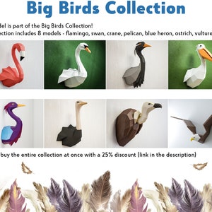 DIY Paper Craft Ostrich, 3D Papercraft Animal Trophy Head, Low Poly ...