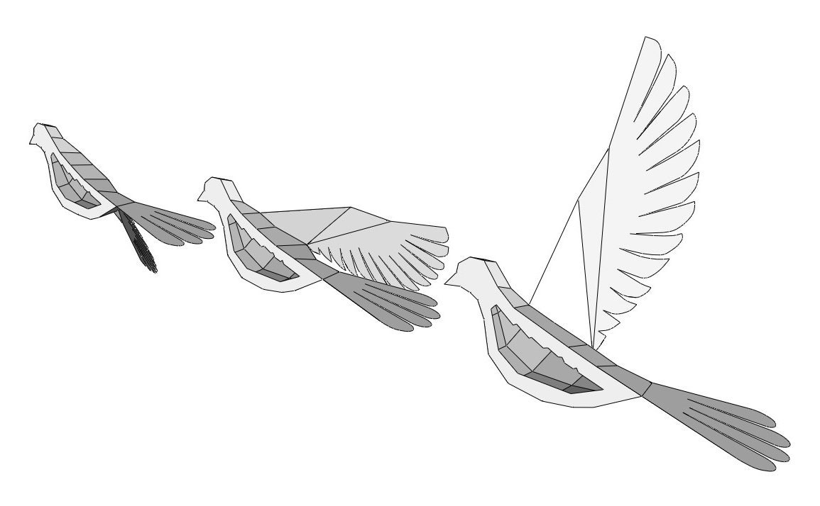 Papercraft Pigeons 3D Paper model Dove birds polygonal DIY | Etsy